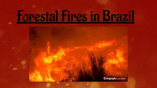 FIRE PRESENTATION