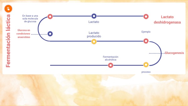 Fermentación láctica | Genially
