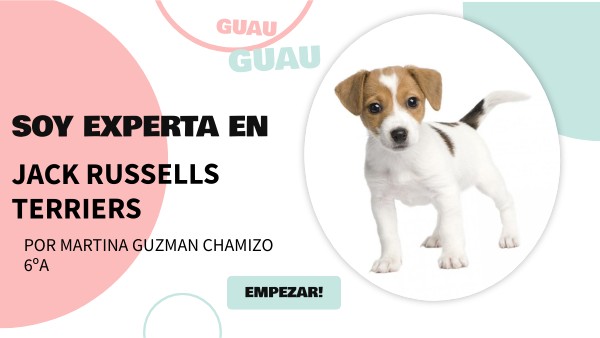 Soy experta en jack russell terriers | Genially