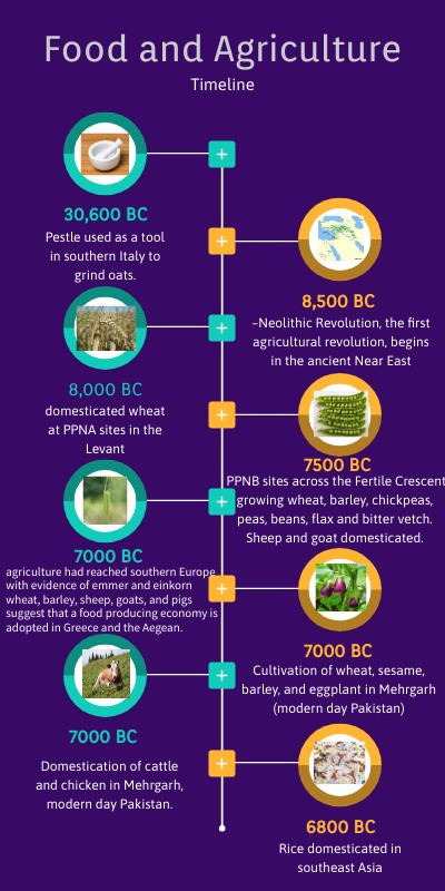 Food and agriculture timeline | Genially