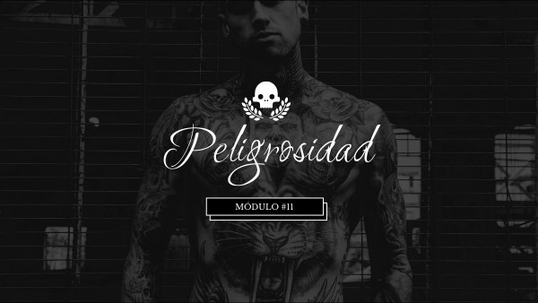 Presentación MOD 11 ANALITIPOCRIMI | Genially