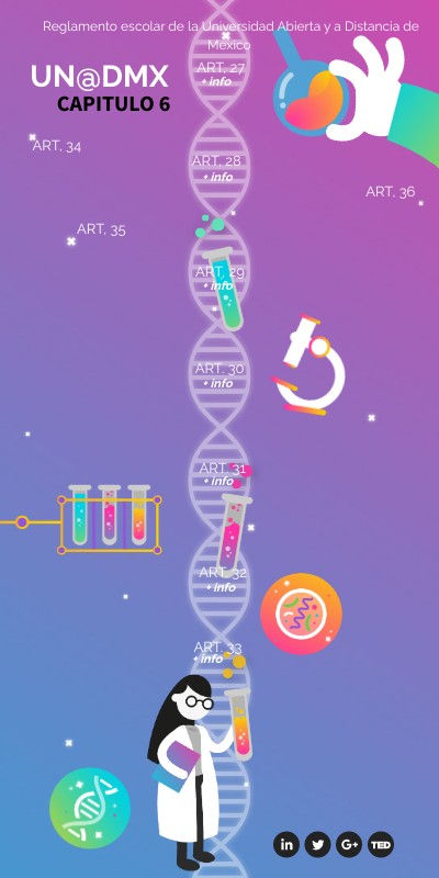 REGLAMENTO CAP 6 | Genially