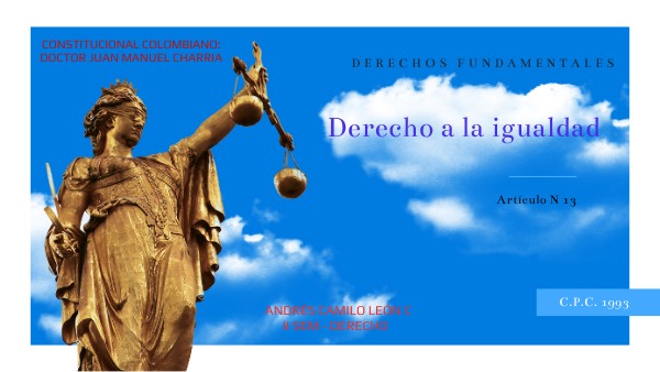 Artículo n13