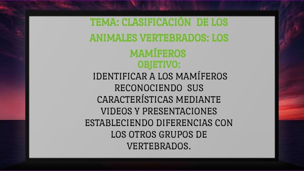 CC NN LOS MAMÍFEROS 1P 1Q