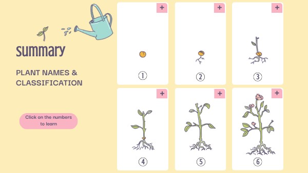 PLANT NAMES & CLASSIFICATION