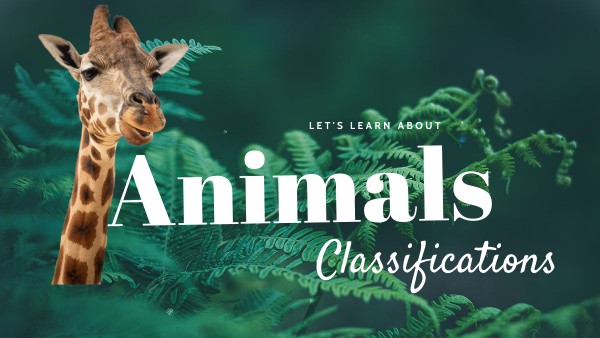 Animal Classification | Genially