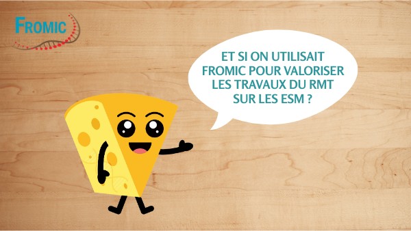 PRESENTATION - 27/06/2023 - RMT FFVT | Genially