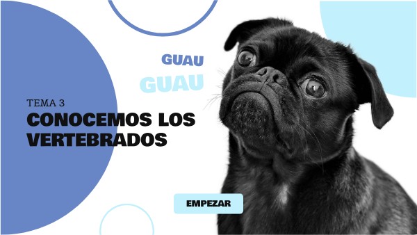 Cono 3ºEP - Tema 3 - Los Vertebrados | Genially