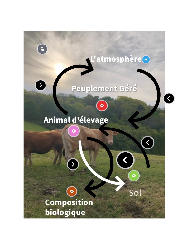 schéma d'un agrosystème