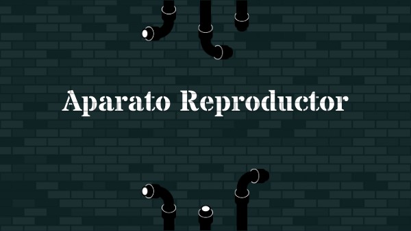 Sistema Reproductor | Genially