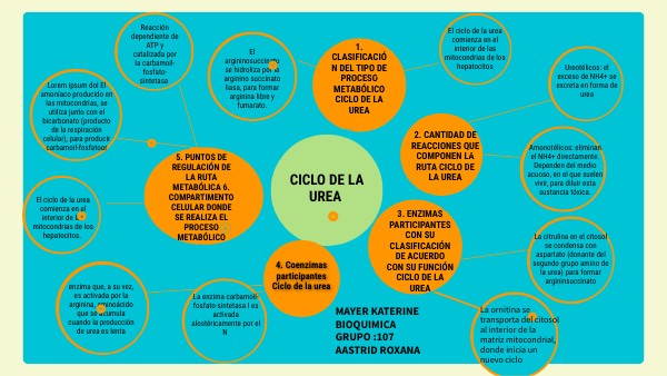 MAPA CONCEPTUAL CIRCULAR | Genially