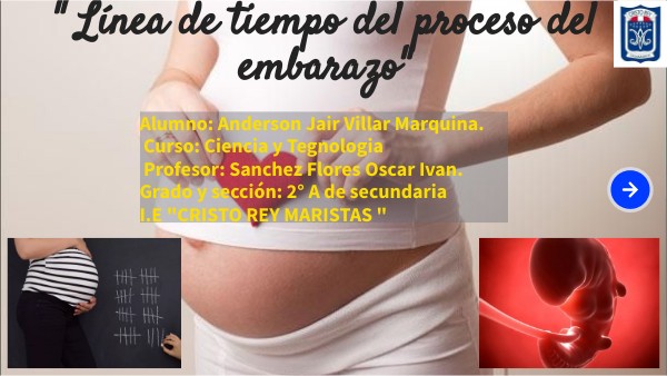 PROCESO DEL EMBARAZO