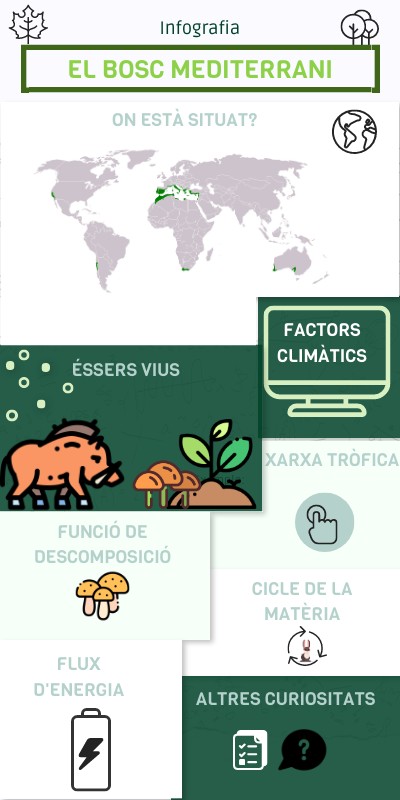 INFOGRAFIA EL BOSC MEDITERRANI