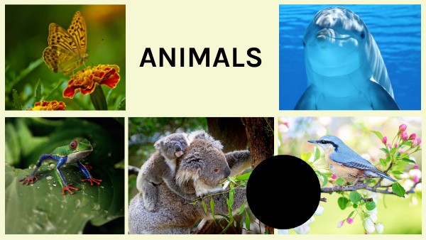ANIMALS: VERTEBRATES AND INVERTEBRATES | Genially