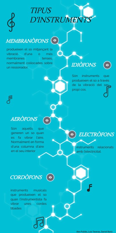 TIPUS D'INSTRUMENTS | Genially