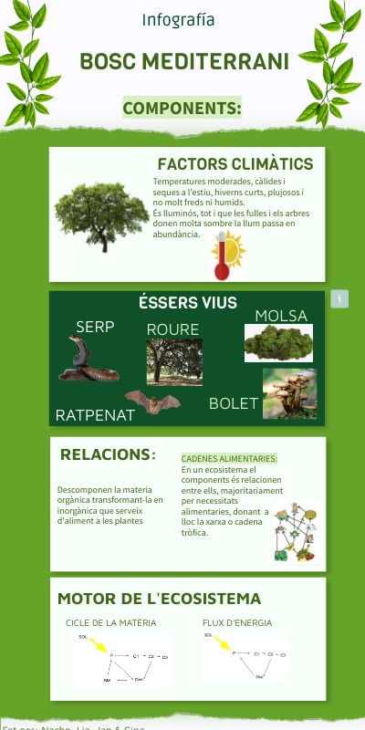 BOSC MEDITERRANI | Genially