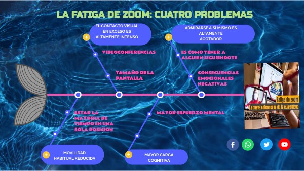 La Fatiga de Zoom: cuatro problemas