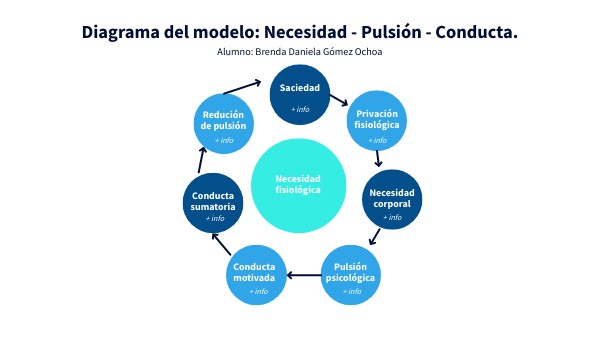 Diagrama del modelo de necesidad | Genially