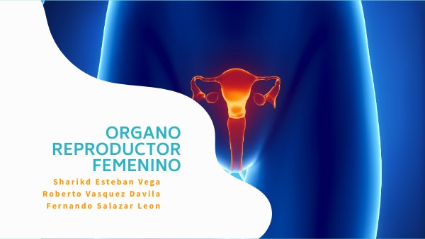 SISTEMA REPRODUCTOR FEMENINO | Genially