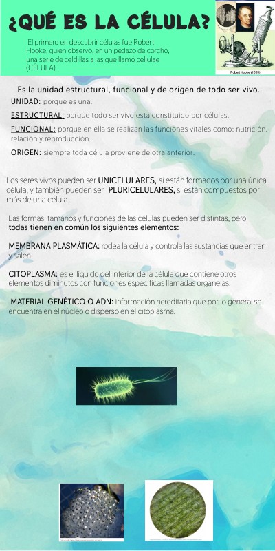 LAS CÉLULAS. | Genially