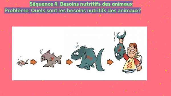 S4A(A7) besoins nutrifs des animaux | Genially