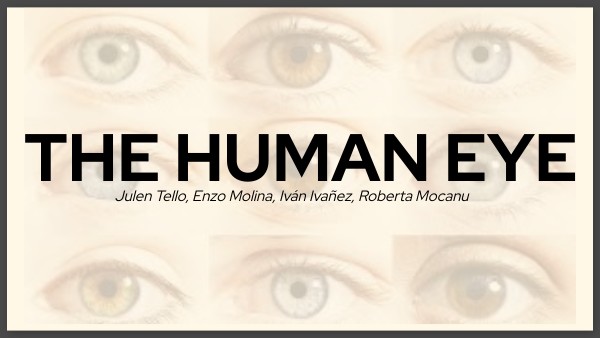 +The human eye | Genially