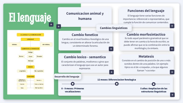 Infografia - Modulo | Genially