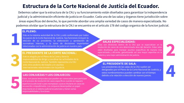 ESTRUCTURA DE LA CNJ | Genially