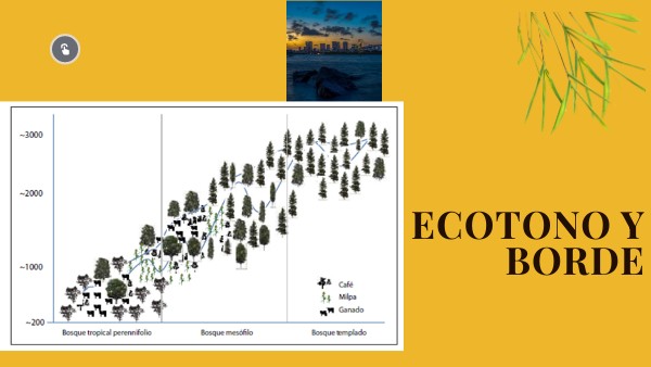 Borde y ecotono en Ecología | Genially