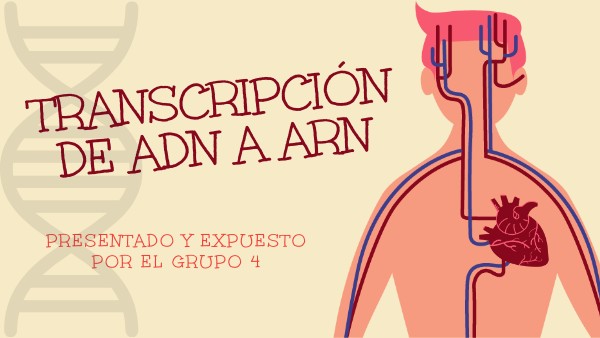 TRANSCRIPCIÓN DE ADN A ARN | Genially