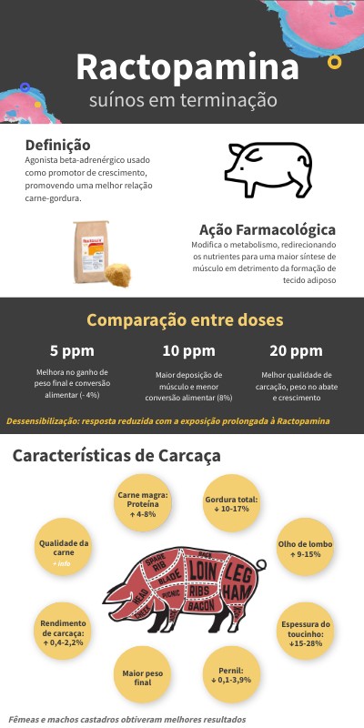 Ractopamina - uso em suínos em terminação | Genially