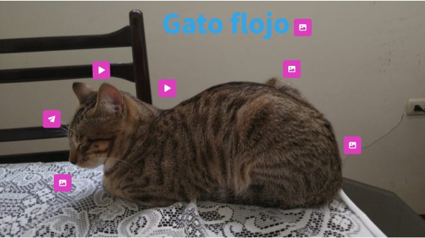 Gato flojo | Genially