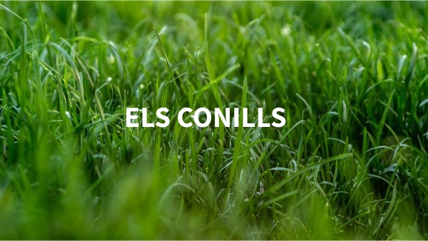 ELS CONILLS