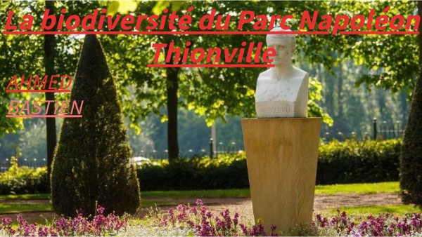 Copie - Basic interactive image