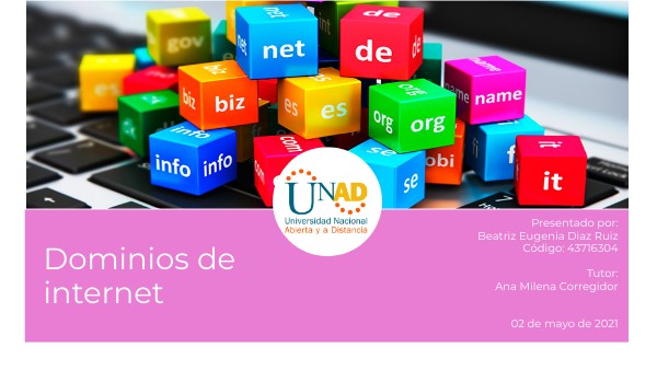 Dominios de Internet