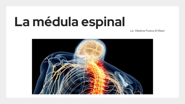 Nervios craneales y espinales | Genially