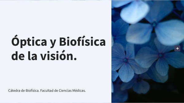 Óptica y Visión | Genially