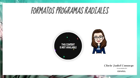 6.2 FORMATO PROGRAMA RADIAL