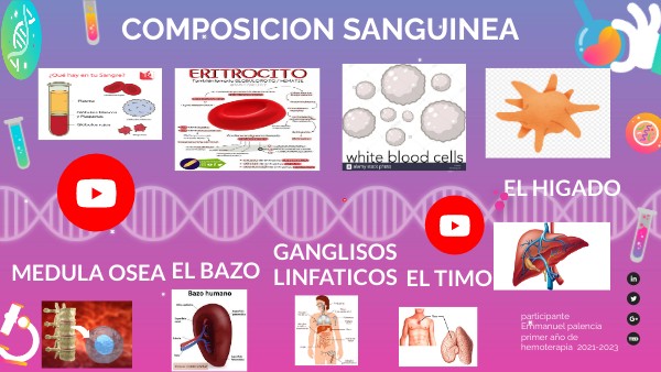 BIOLOGY VIBRANT HORIZONTAL | Genially