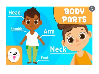 BODY PARTS | Genially