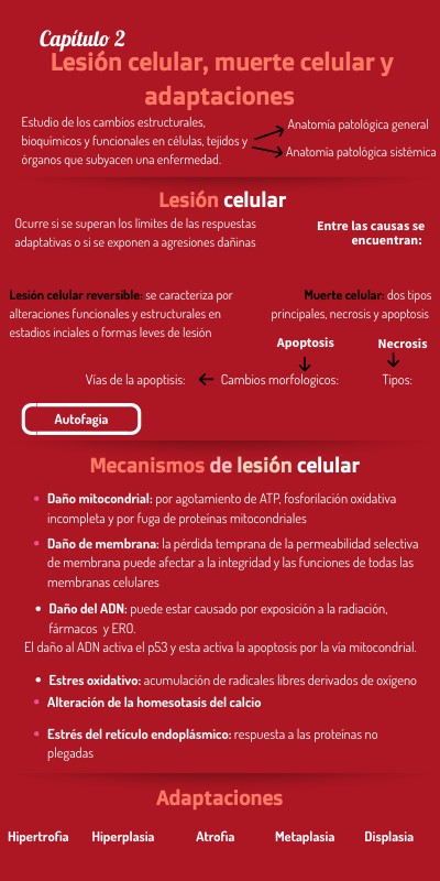 Capítulo 2 | Genially