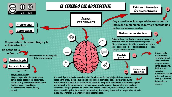 El cerebro del adolescente | Genially