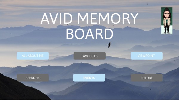 AVID memory board