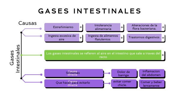 Gases intestinales