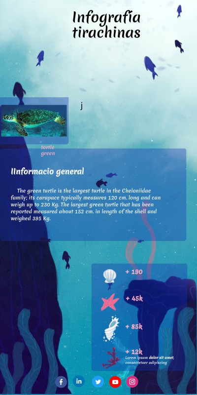 green turtle | Genially