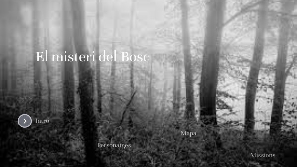 EL MISTERI DEL BOSC