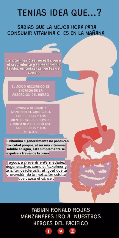 INFO VERTICAL DIGESTIVO | Genially