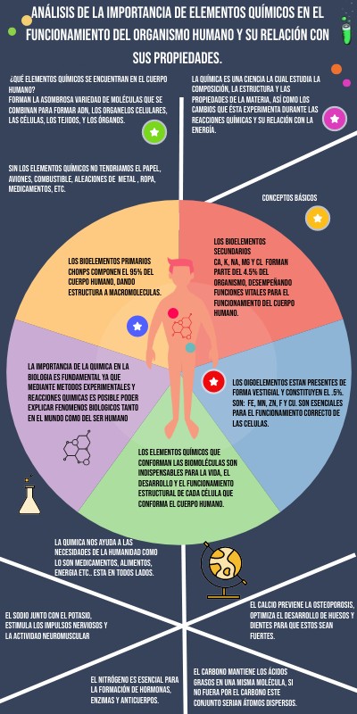 IMPORTANCIA DE LOS ELEMENTOS QUIMICOS EN EL FUNCIONAMINTO DEL CUERPO ...