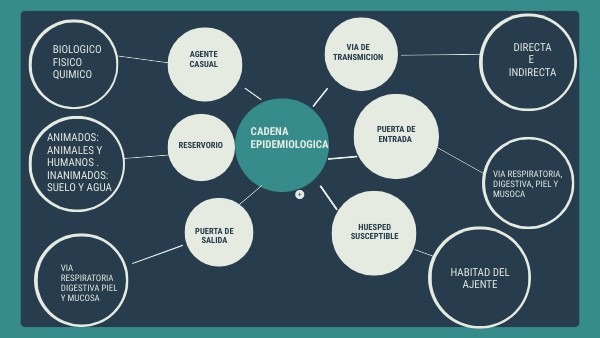 MAPA CONCEPTUAL CIRCULAR | Genially