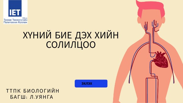 Хүний бие дэхийн солилцоо 4 21 Genially